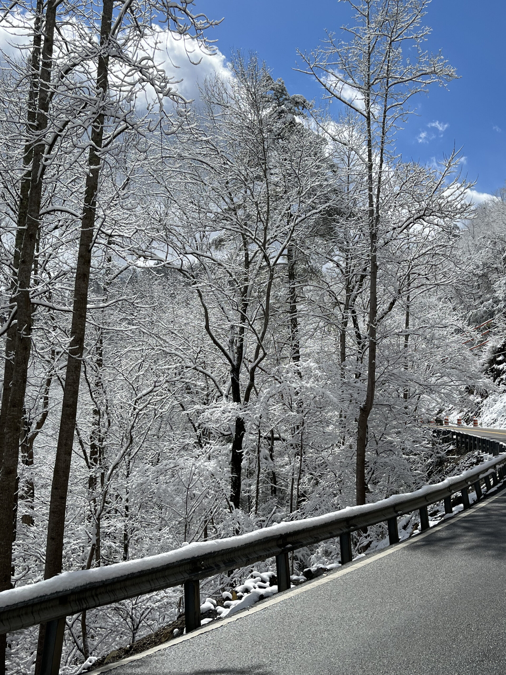 Experience the Great Smoky Mountains National Park in Winter
